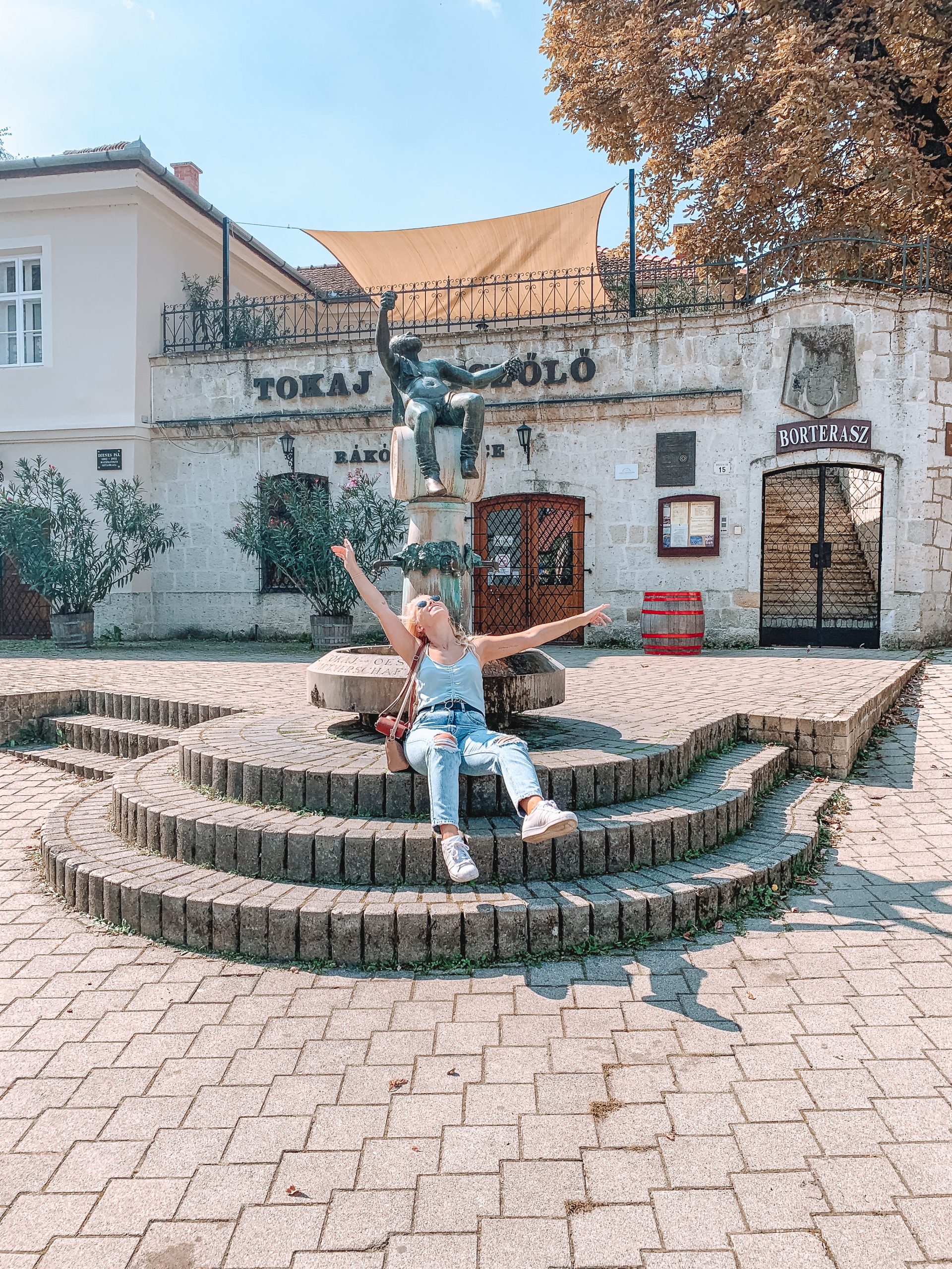 Tokaj, Hungary: Exploring the Vineyards of the Golden Wine Region ...