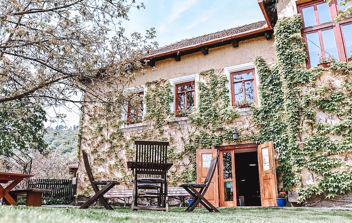 Tokaj, Hungary: Exploring the Vineyards of the Golden Wine Region ...