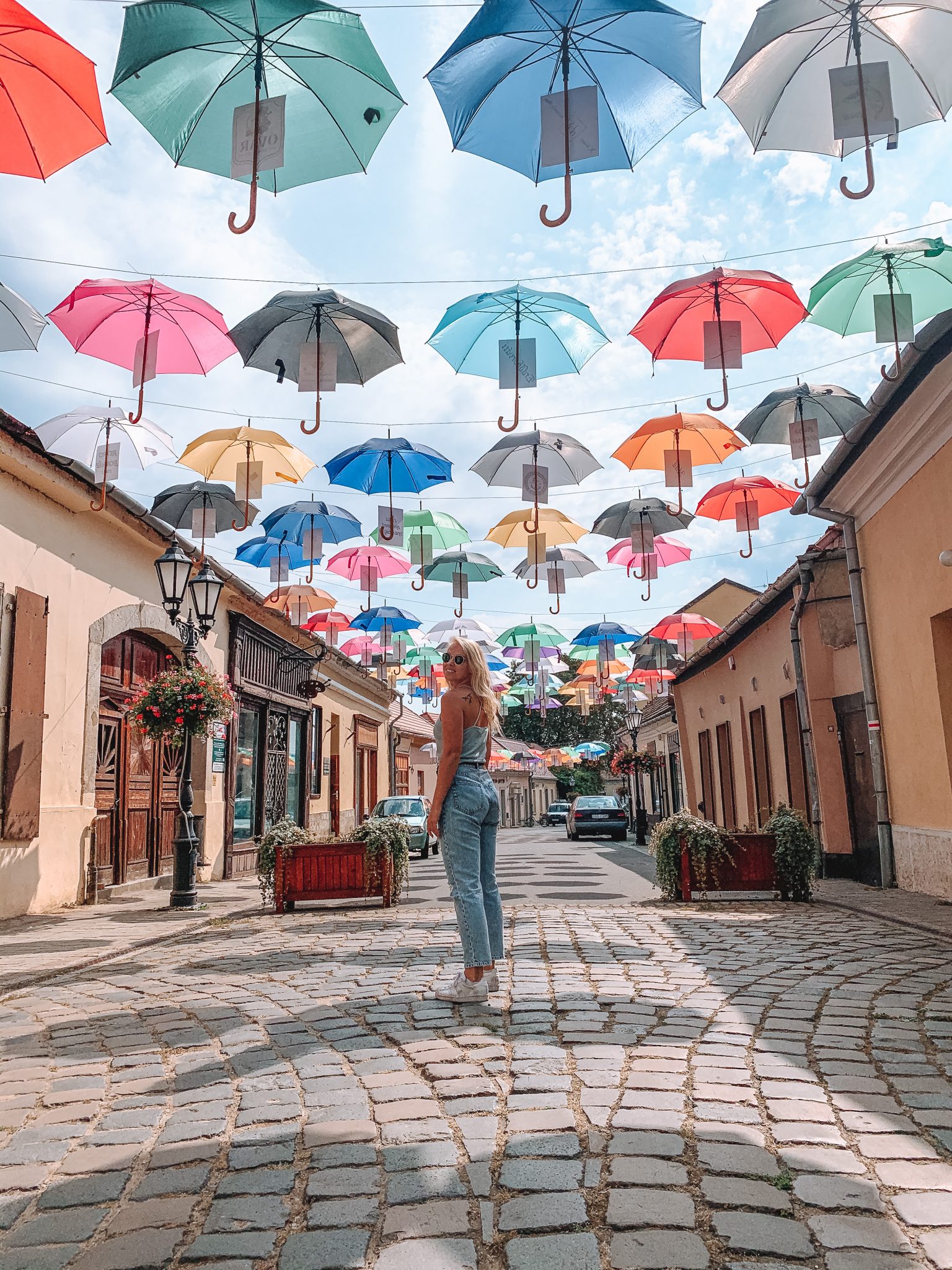 Tokaj, Hungary: Exploring the Vineyards of the Golden Wine Region ...