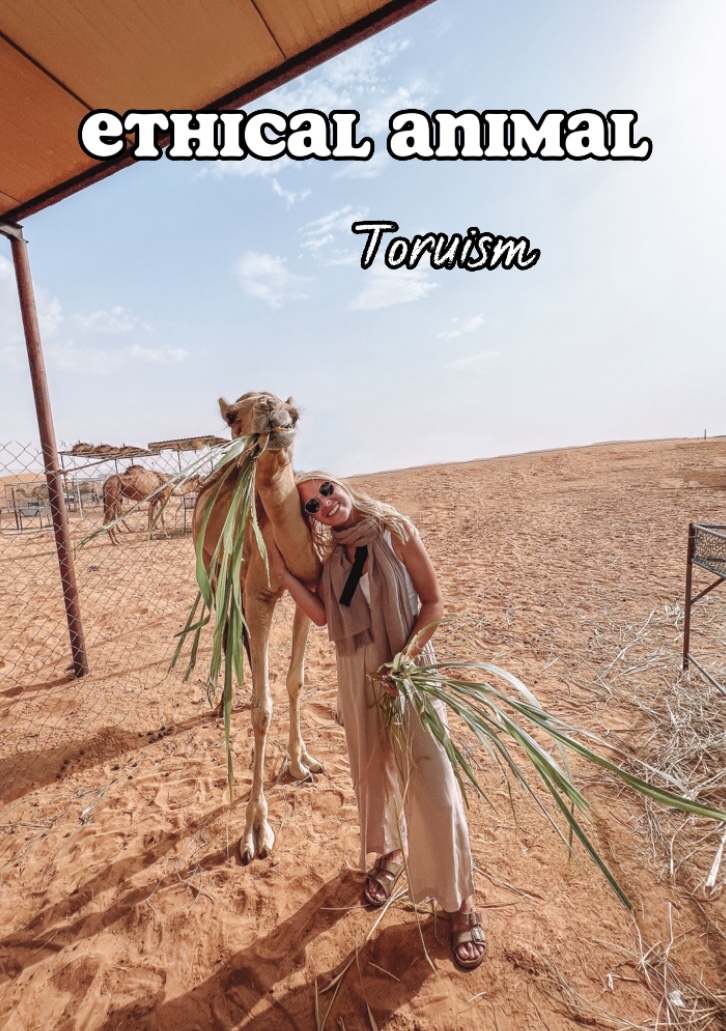 Ethical Animal Tourism: How to Travel Ethically 101 - Travel Munchers